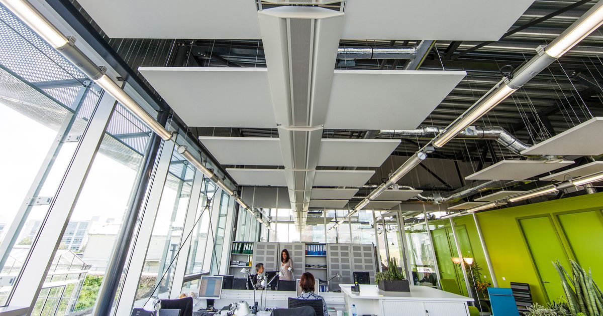 Rockfon® Eclipse | White Acoustic Floating Ceiling Panels